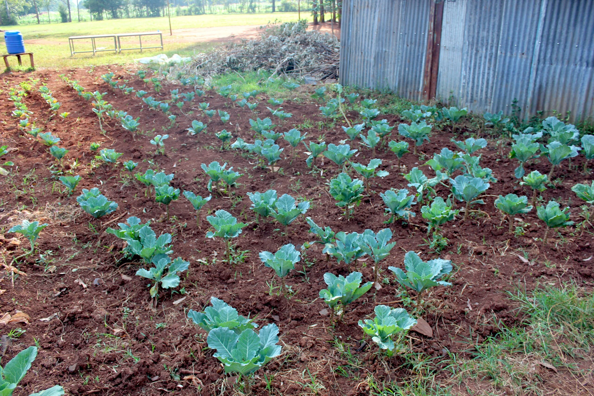 673 Million People Face Hunger Worldwide — Here’s How You Can Help in ...